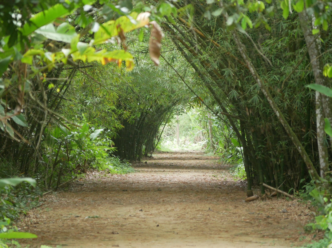 2024年6月Peperpot Nature Park景点攻略-Peperpot Nature Park门票预订|地址|图片-Peperpot ...