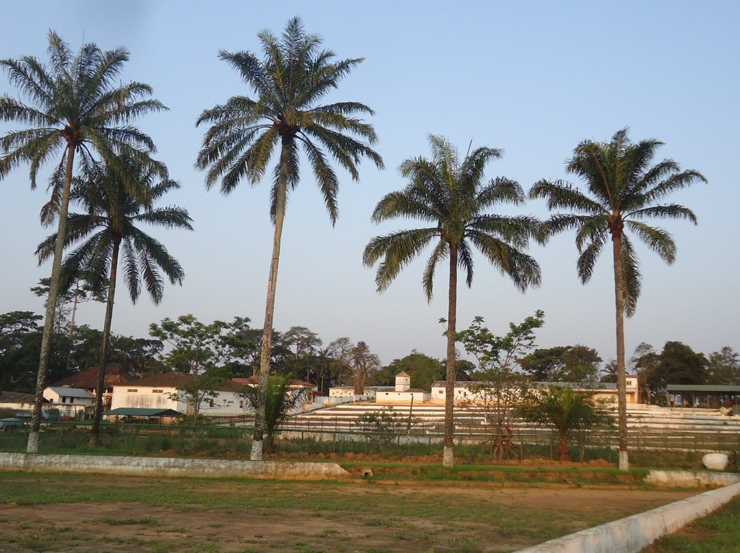 2024年11月Calulo旅游景点攻略-Calulo旅游住宿,-Calulo旅游美食-猫途鹰