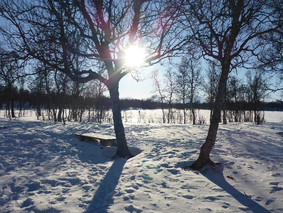 2025年3月Prestvannet Lake景点攻略-Prestvannet Lake门票预订|地址|图片-Prestvannet Lake ...