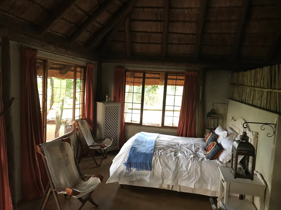 2024年10月Ngodwana旅游景点攻略-Ngodwana旅游住宿,-Ngodwana旅游美食-猫途鹰