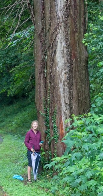 2024年10月Chippokes State Park景点攻略-Chippokes State Park门票预订|地址|图片 ...