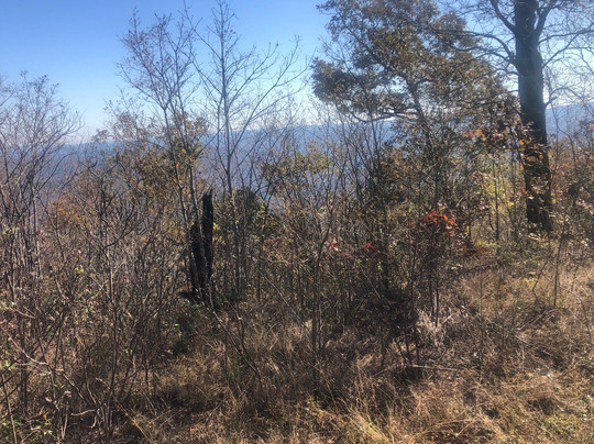 2023年12月Mill Creek Trail景点攻略-Mill Creek Trail门票预订|地址|图片-Mill Creek ...