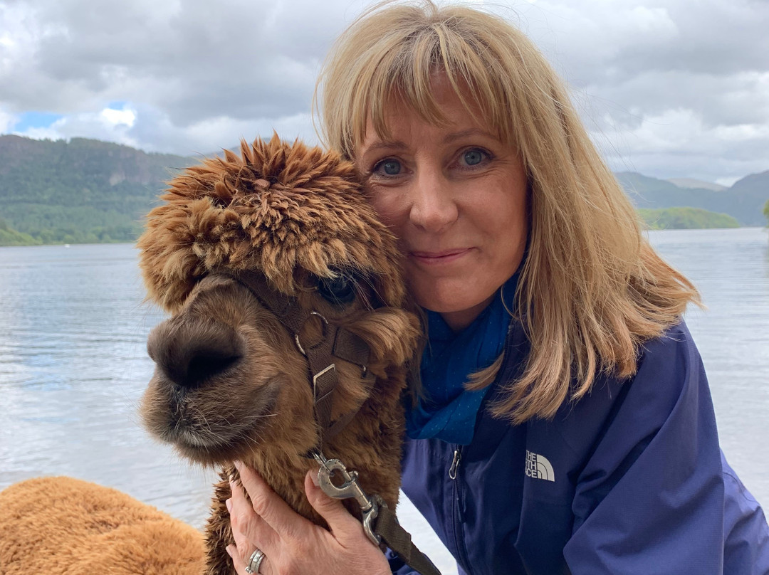 2025年3月Alpacaly Ever After景点攻略-Alpacaly Ever After门票预订|地址|图片-Alpacaly ...