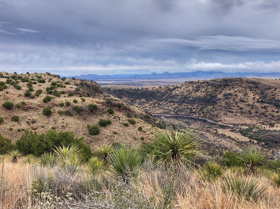 2025年1月Davis Mountains State Park景点攻略-Davis Mountains State Park门票预订|地址 ...