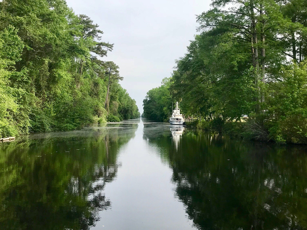 2023年12月Dismal Swamp State Park景点攻略-Dismal Swamp State Park门票预订|地址|图片 ...