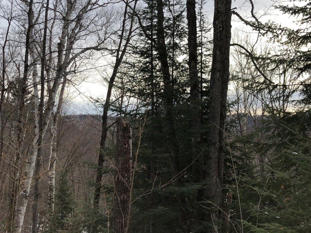 2023年12月Parc Régional de Val-David Val-Morin景点攻略-Parc Régional de Val ...