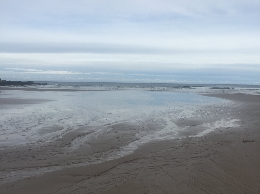 2025年1月Sandend Beach景点攻略-Sandend Beach门票预订|地址|图片-Sandend Beach景点点评-猫途鹰