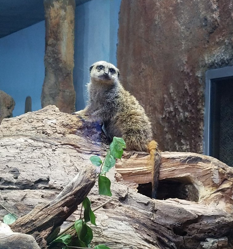 2023年12月Boonshoft Museum of Discovery景点攻略-Boonshoft Museum of Discovery ...