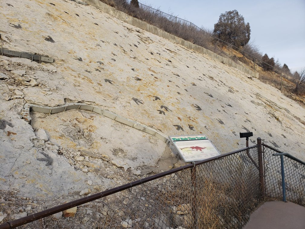 2023年12月Dinosaur Ridge景点攻略-Dinosaur Ridge门票预订|地址|图片-Dinosaur Ridge景点点评-猫途鹰