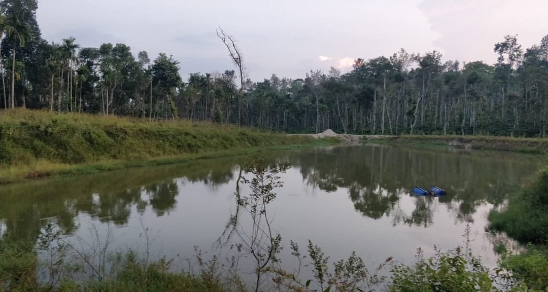 2024年3月Chandrapura旅游景点攻略-Chandrapura旅游住宿,-Chandrapura旅游美食-猫途鹰