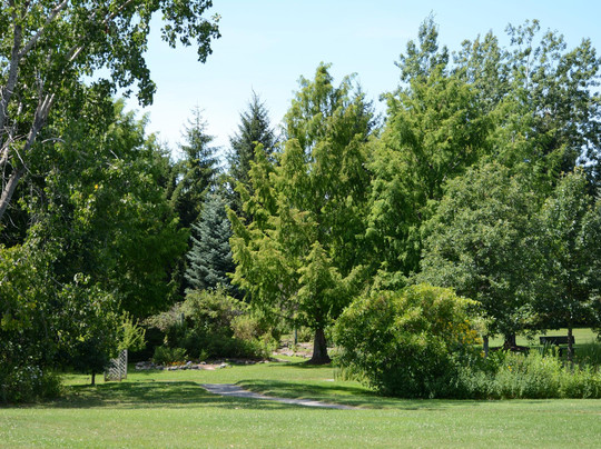 2025年7月Union Hill旅游景点攻略-Union Hill旅游住宿,-Union Hill旅游美食-猫途鹰