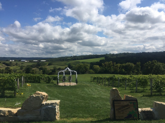 2023年12月Fergedaboudit Vineyard & Winery景点攻略-Fergedaboudit Vineyard ...