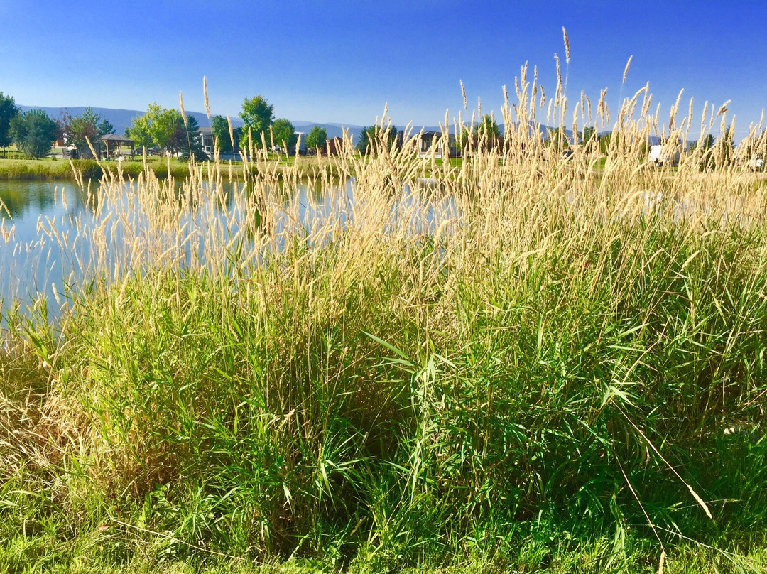 2023年12月Indian Springs Ranch景点攻略-Indian Springs Ranch门票预订|地址|图片-Indian ...