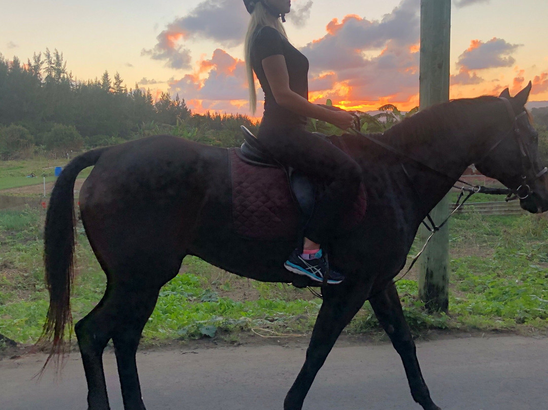 2025年3月HORSE RIDING RIAMBEL- Centre Equestre De Riambel景点攻略-HORSE ...