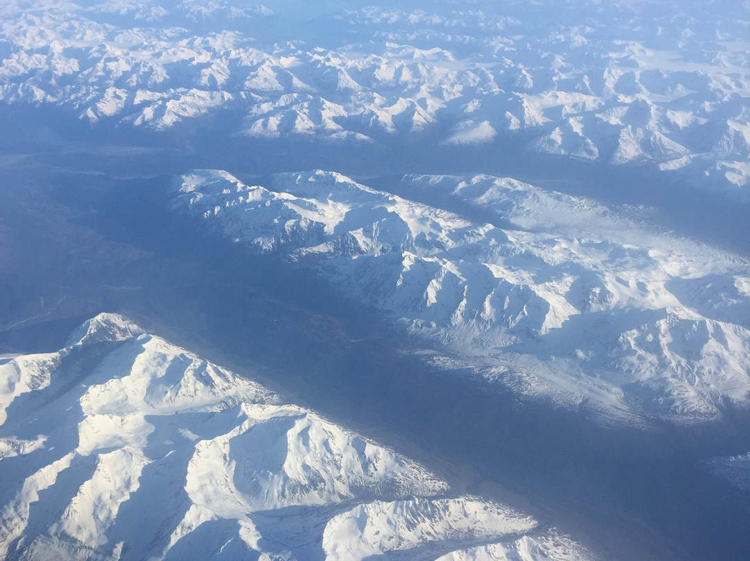 2025年8月Statue of Patsy Ann, the Dog景点攻略-Statue of Patsy Ann, the Dog门票 ...