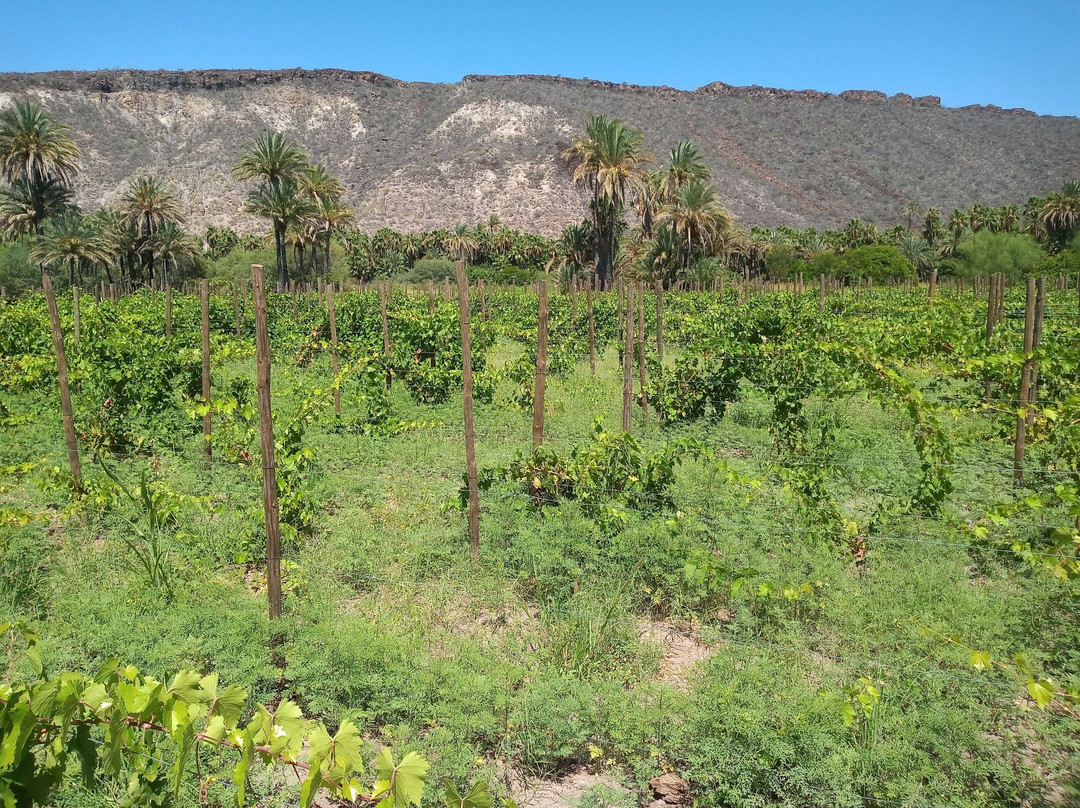 2024年1月San Miguel de Comondu旅游景点攻略-San Miguel de Comondu旅游住宿,-San ...