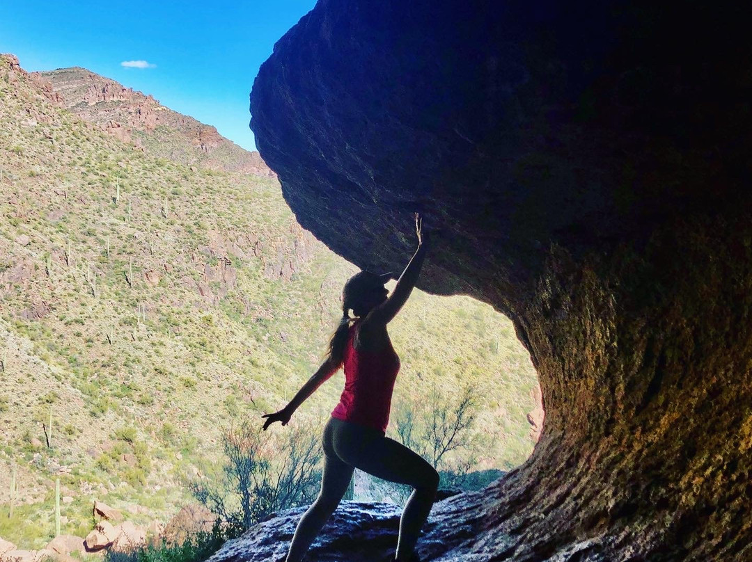 2024年3月Wave Cave Trail景点攻略-Wave Cave Trail门票预订|地址|图片-Wave Cave Trail景点 ...