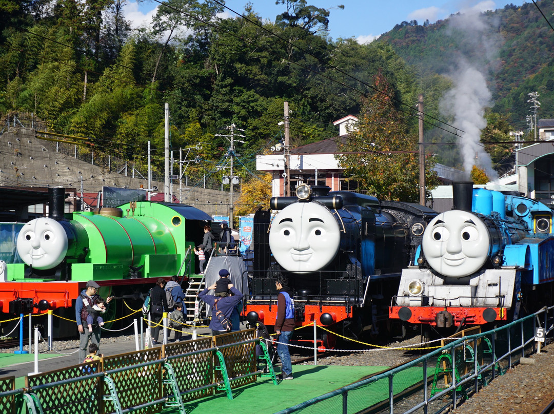 2024年11月Oigawa Railway Co.景点攻略-Oigawa Railway Co.门票预订|地址|图片-Oigawa ...