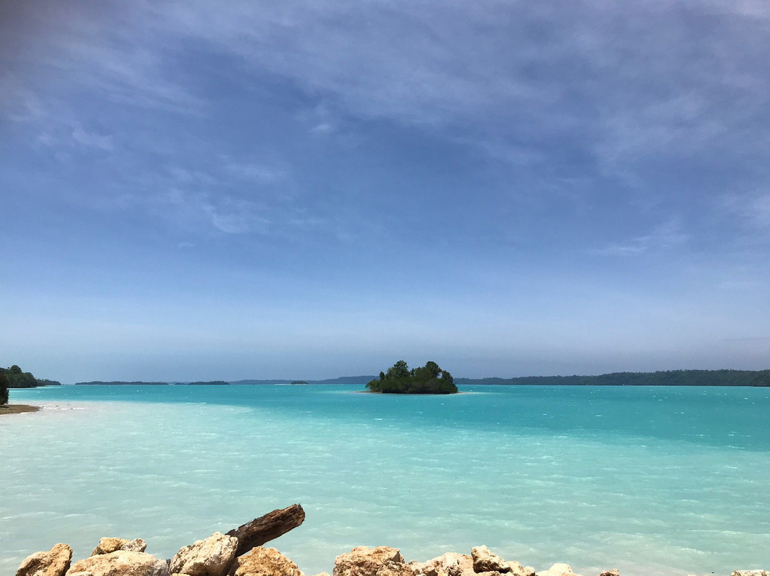 2024年2月Maratua Island景点攻略-Maratua Island门票预订|地址|图片-Maratua Island景点点评-猫途鹰