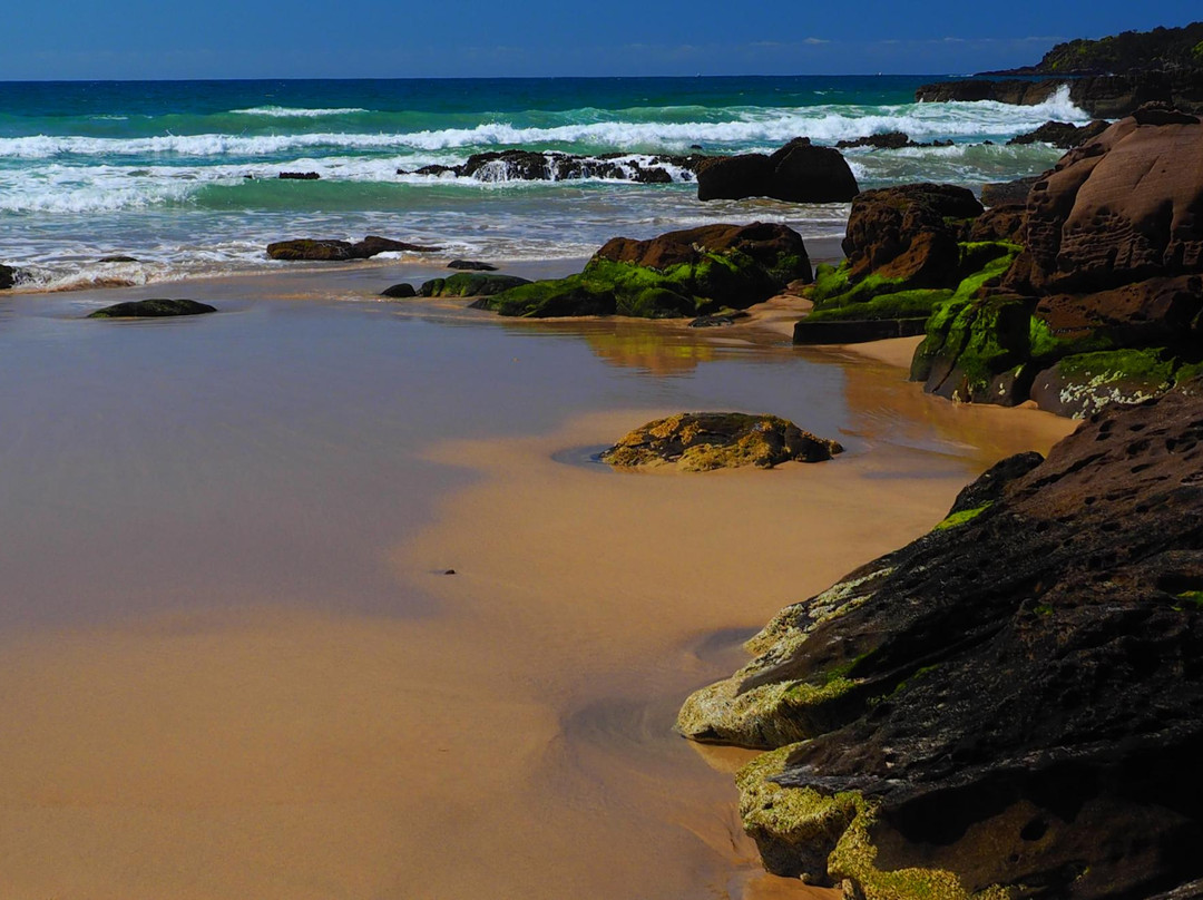 2024年3月Pambula Beach旅游景点攻略-Pambula Beach旅游住宿,-Pambula Beach旅游美食-猫途鹰