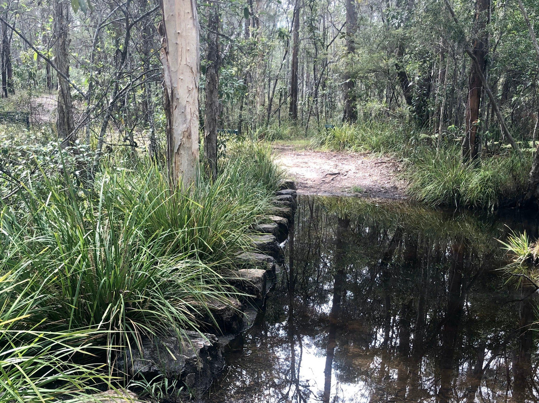 2024年9月Venman Bushland National Park景点攻略-Venman Bushland National Park ...