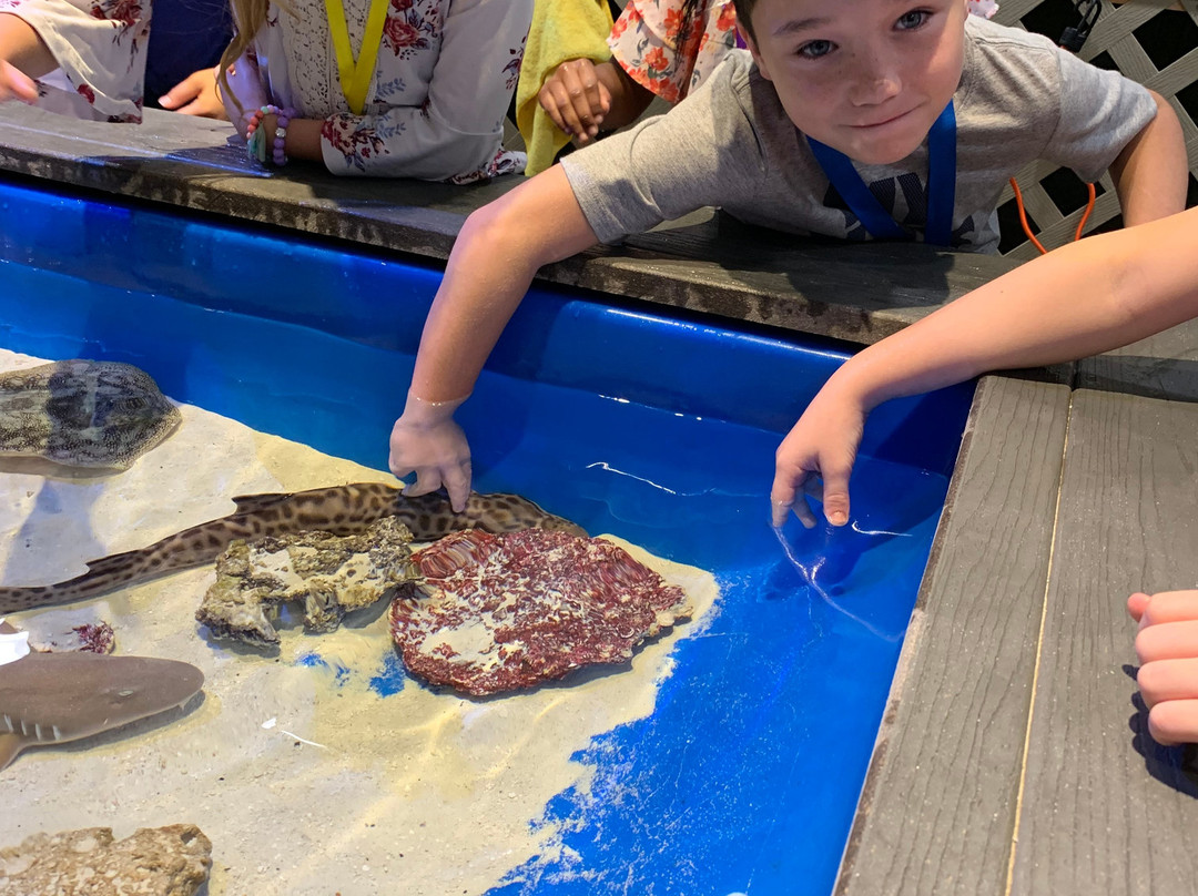 2023年12月Roper Mountain Science Center景点攻略-Roper Mountain Science Center ...