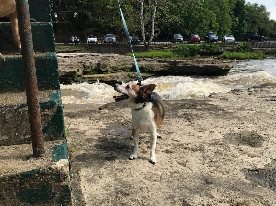 2024年2月Pendleton Falls Park景点攻略-Pendleton Falls Park门票预订|地址|图片 ...