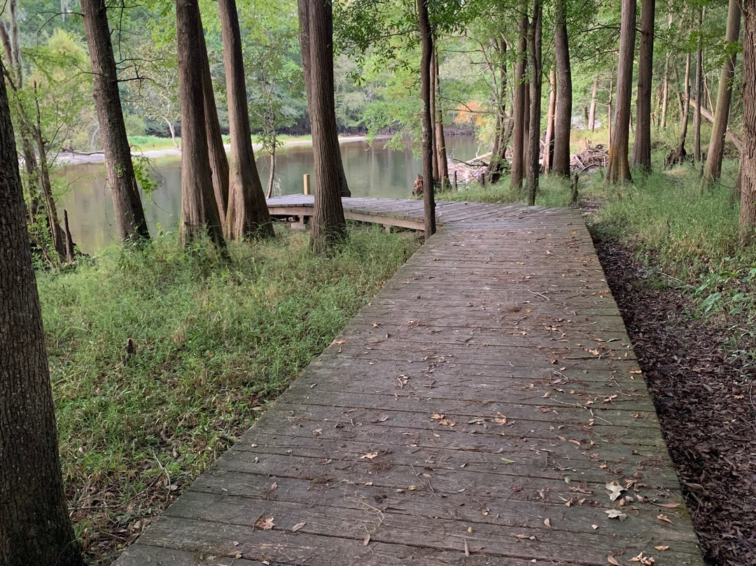 2025年2月Colleton State Park景点攻略-Colleton State Park门票预订|地址|图片-Colleton ...