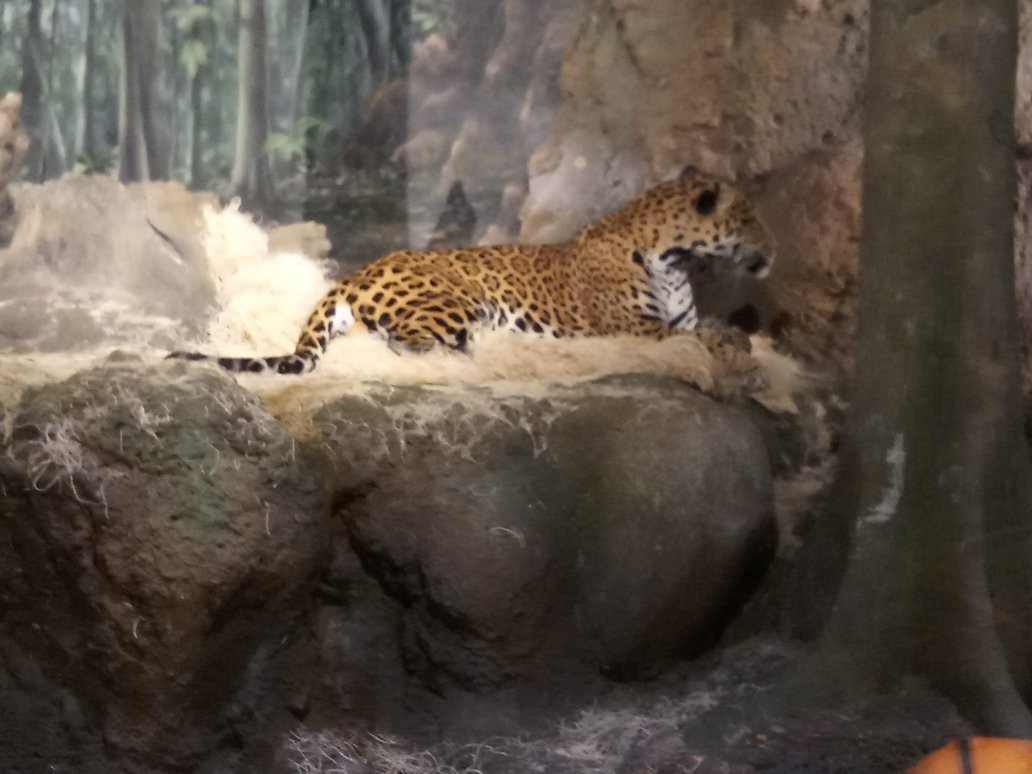 2023年11月Milwaukee County Zoo景点攻略-Milwaukee County Zoo门票预订|地址|图片 ...