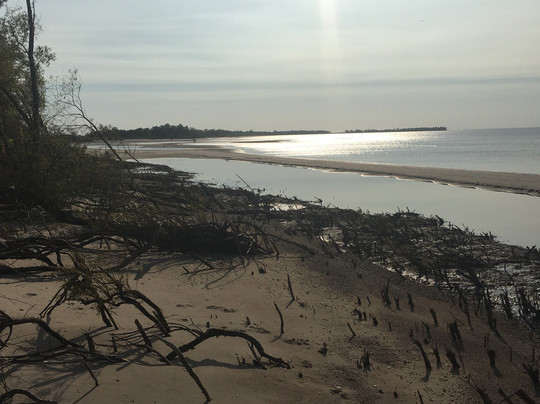 2024年10月Patricia Beach Provincial Park景点攻略-Patricia Beach Provincial ...