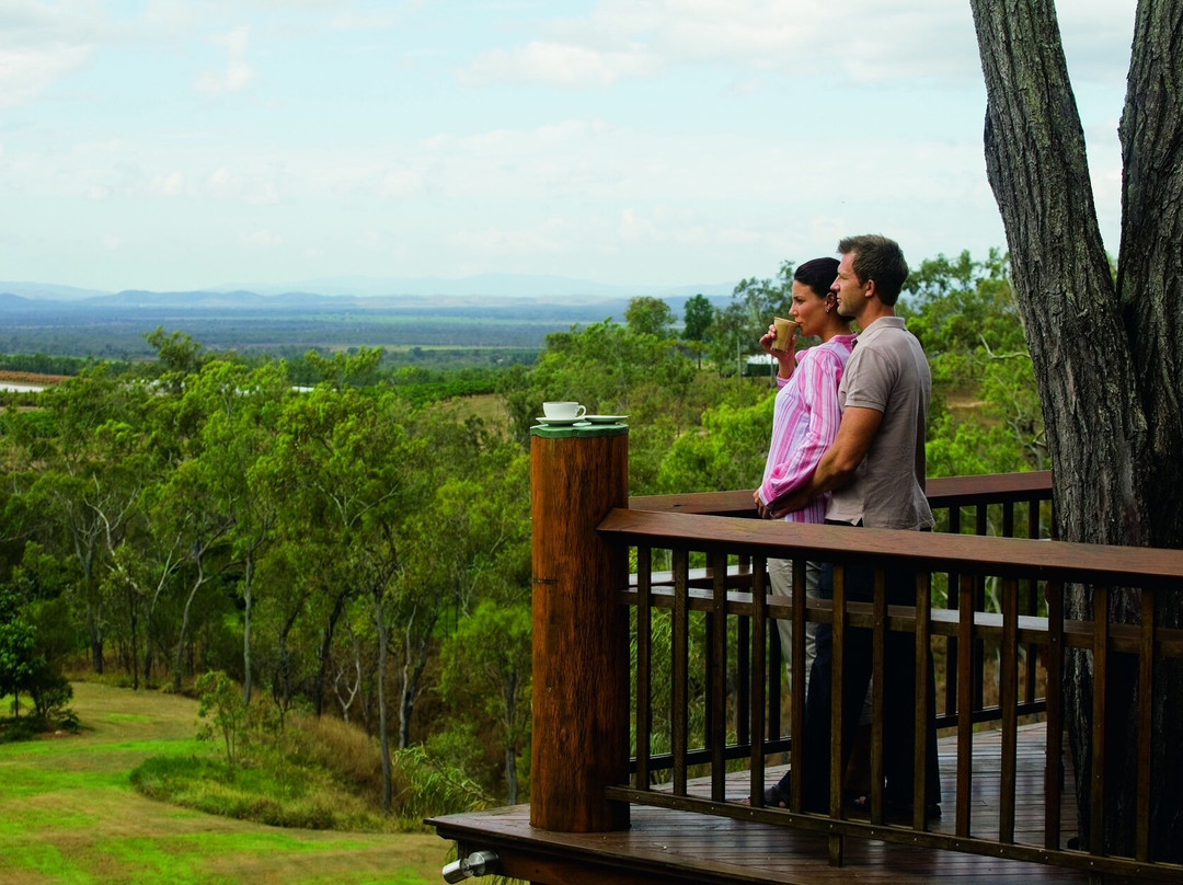 2025年12月Dimbulah旅游景点攻略-Dimbulah旅游住宿,-Dimbulah旅游美食-猫途鹰