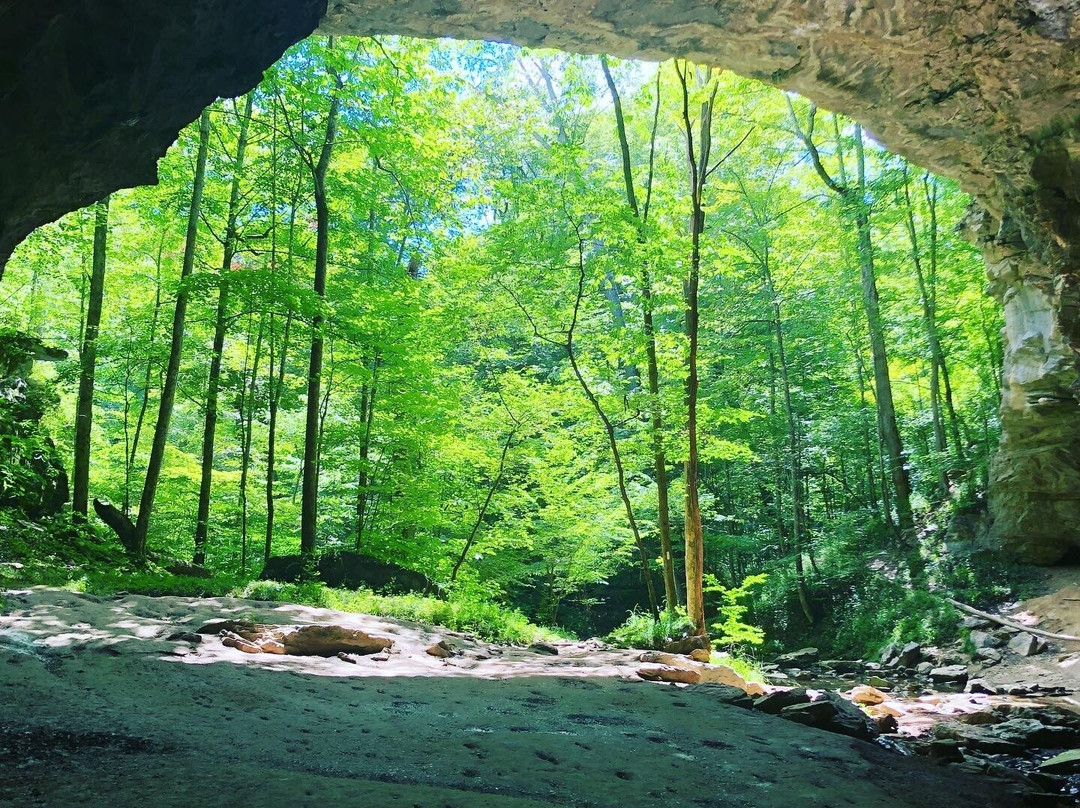 2024年9月Carter Caves State Resort Park景点攻略-Carter Caves State Resort ...