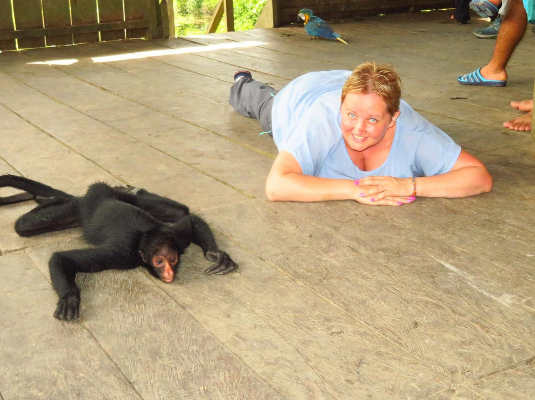 2024年10月Amazon Experience Tours Leticia Amazonas景点攻略-Amazon Experience ...