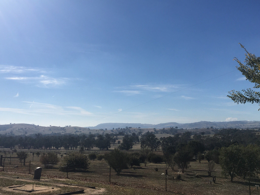 2023年12月Avenel Maze景点攻略-Avenel Maze门票预订|地址|图片-Avenel Maze景点点评-猫途鹰