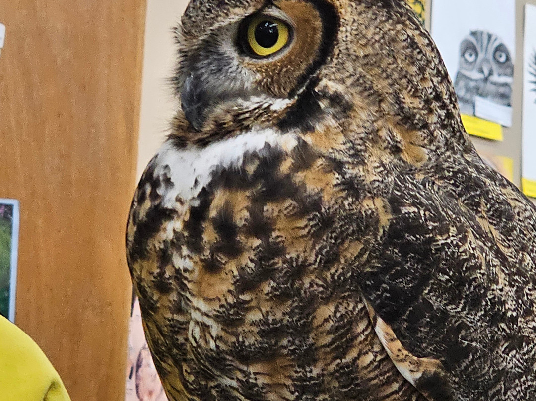 2023年12月International Owl Center景点攻略-International Owl Center门票预订|地址|图片 ...