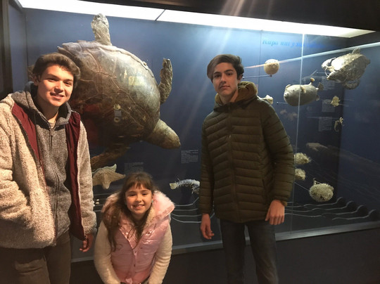 2024年1月Corporación Museo de Arqueología e Historia Francisco Fonck景点攻略 ...