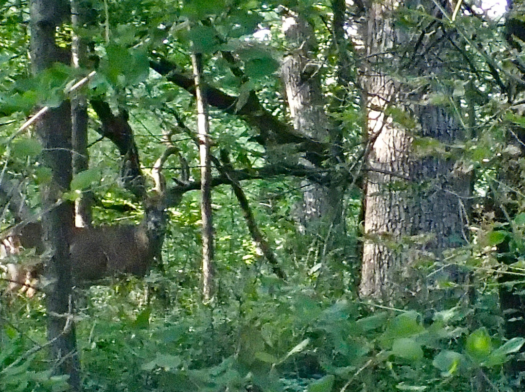 2023年12月Jay C. Hormel Nature Center景点攻略-Jay C. Hormel Nature Center门票预订 ...