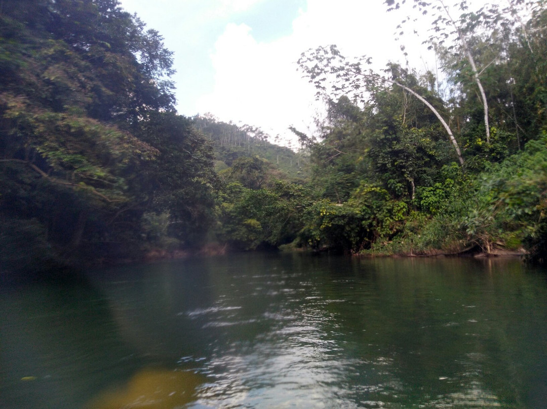 2023年11月Canon del Rio Claro Reserva Natural景点攻略-Canon del Rio Claro ...