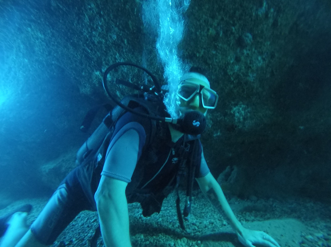 2025年2月Blue World Diving Center景点攻略-Blue World Diving Center门票预订|地址|图片 ...