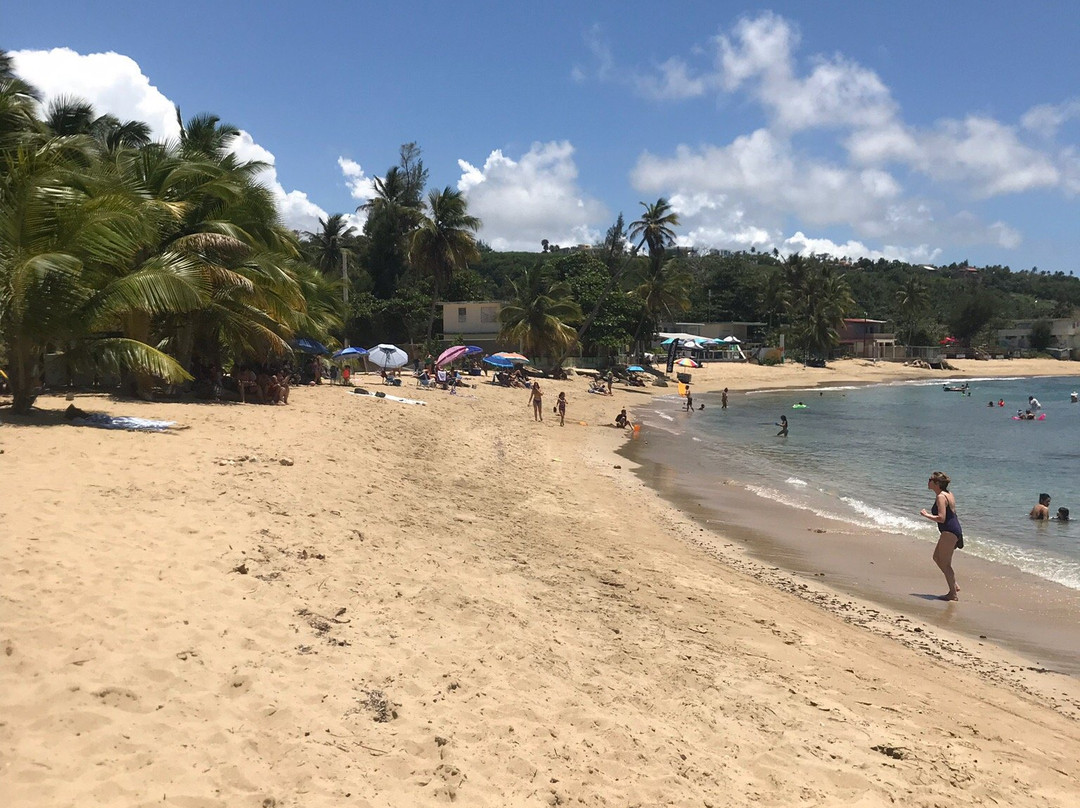 2023年11月Jobos Beach景点攻略-Jobos Beach门票预订|地址|图片-Jobos Beach景点点评-猫途鹰