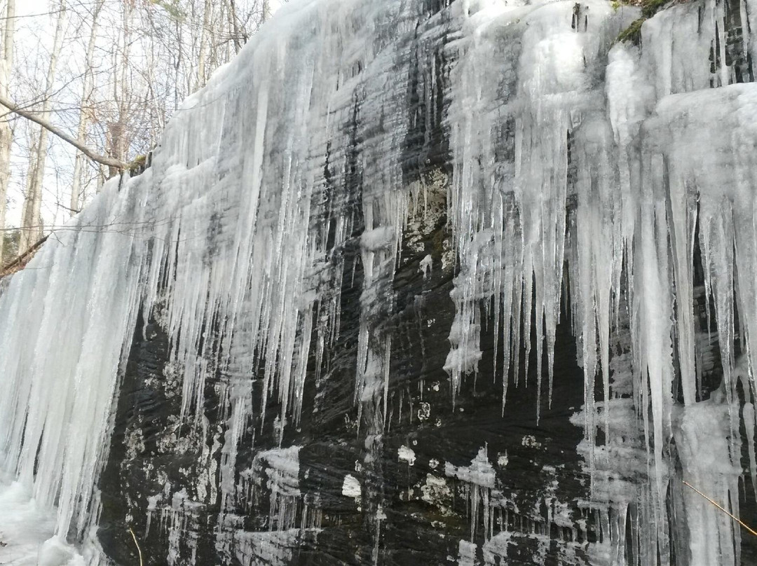 2025年12月Prompton旅游景点攻略-Prompton旅游住宿,-Prompton旅游美食-猫途鹰
