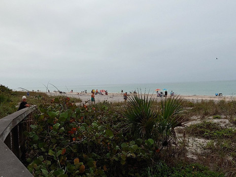 2024年10月Blind Pass Beach景点攻略-Blind Pass Beach门票预订|地址|图片-Blind Pass ...