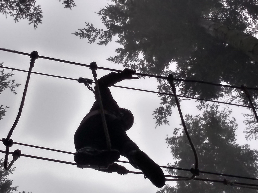 2024年12月The Tunnel Tree Tops High Ropes景点攻略-The Tunnel Tree Tops High ...