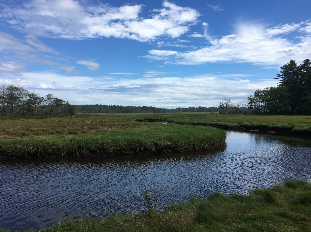 2025年1月Rachel Carson National Wildlife Refuge景点攻略-Rachel Carson ...