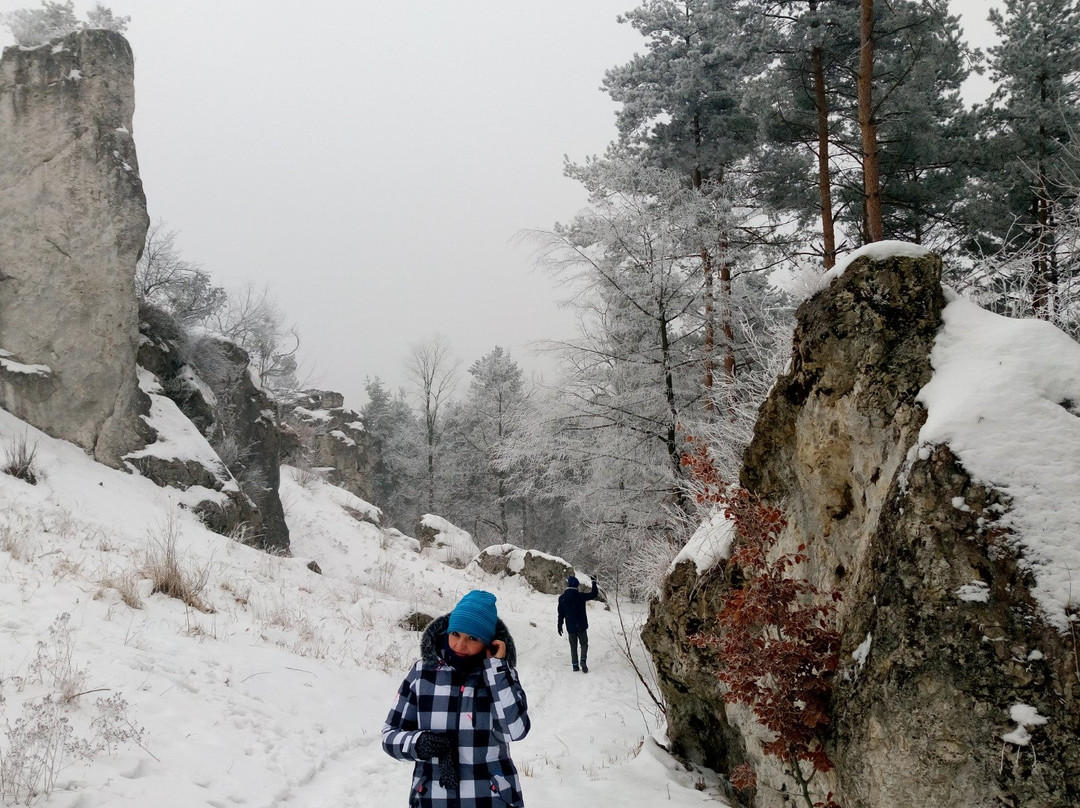 2025年4月Podlesice旅游景点攻略-Podlesice旅游住宿,-Podlesice旅游美食-猫途鹰