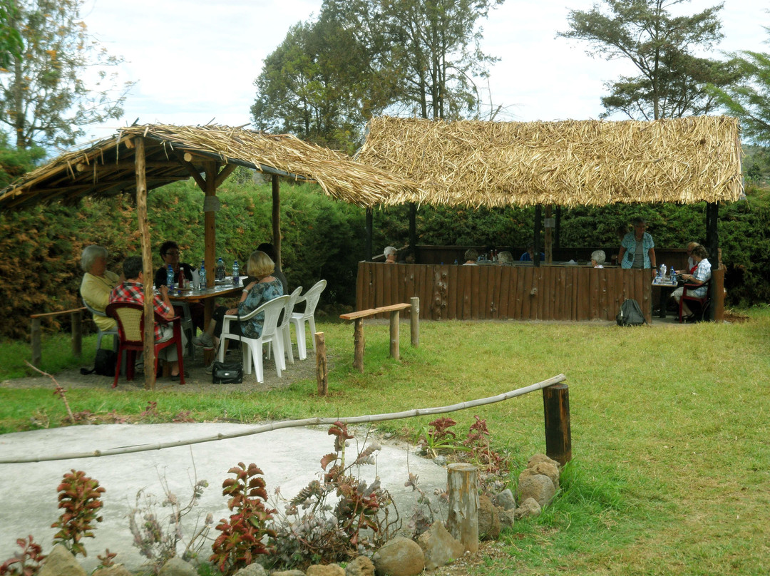 2023年12月Oloitokitok旅游景点攻略-Oloitokitok旅游住宿,-Oloitokitok旅游美食-猫途鹰