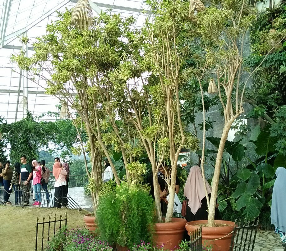 2025年1月Paris Van Java景点攻略-Paris Van Java门票预订|地址|图片-Paris Van Java景点点评-猫途鹰