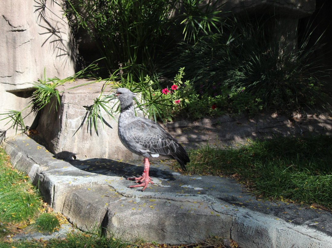 2024年2月Milwaukee County Zoo景点攻略-Milwaukee County Zoo门票预订|地址|图片 ...