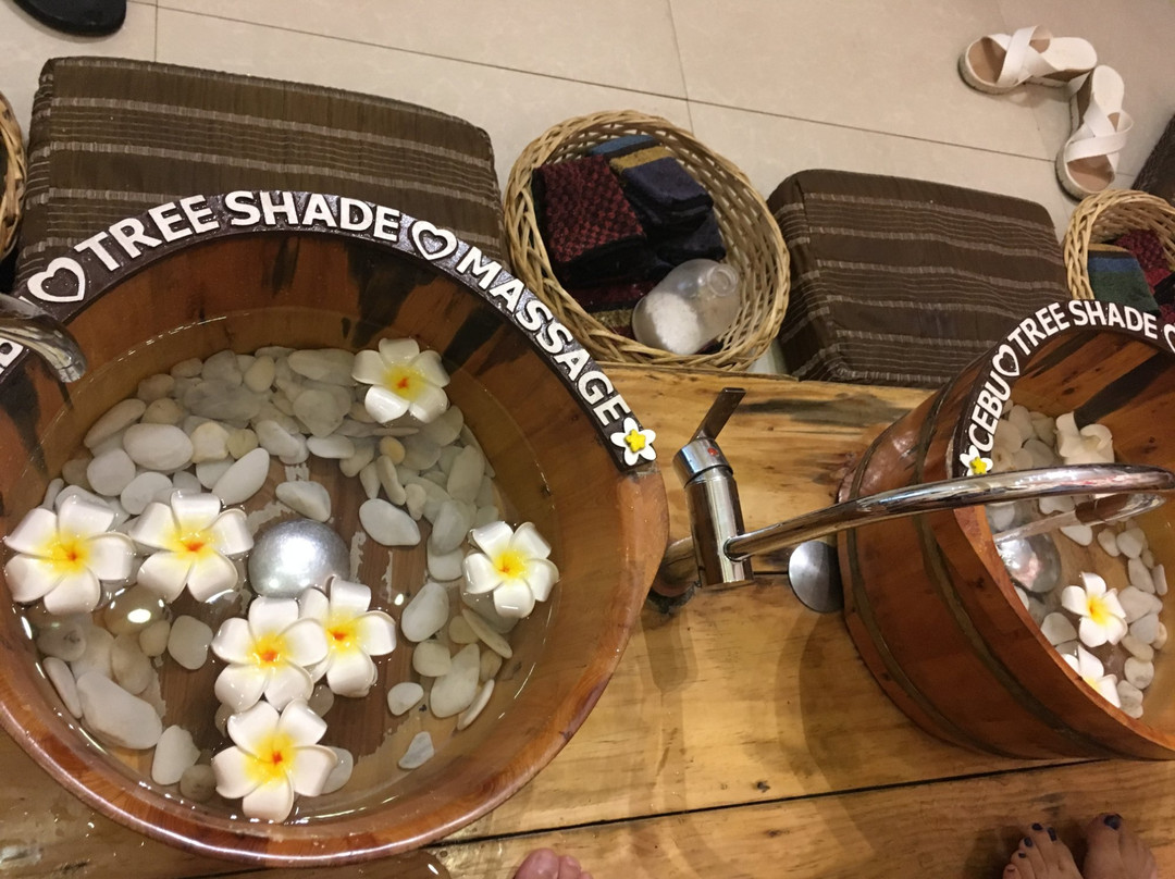 2024年3月Tree Shade Spa景点攻略-Tree Shade Spa门票预订|地址|图片-Tree Shade Spa景点点评-猫途鹰