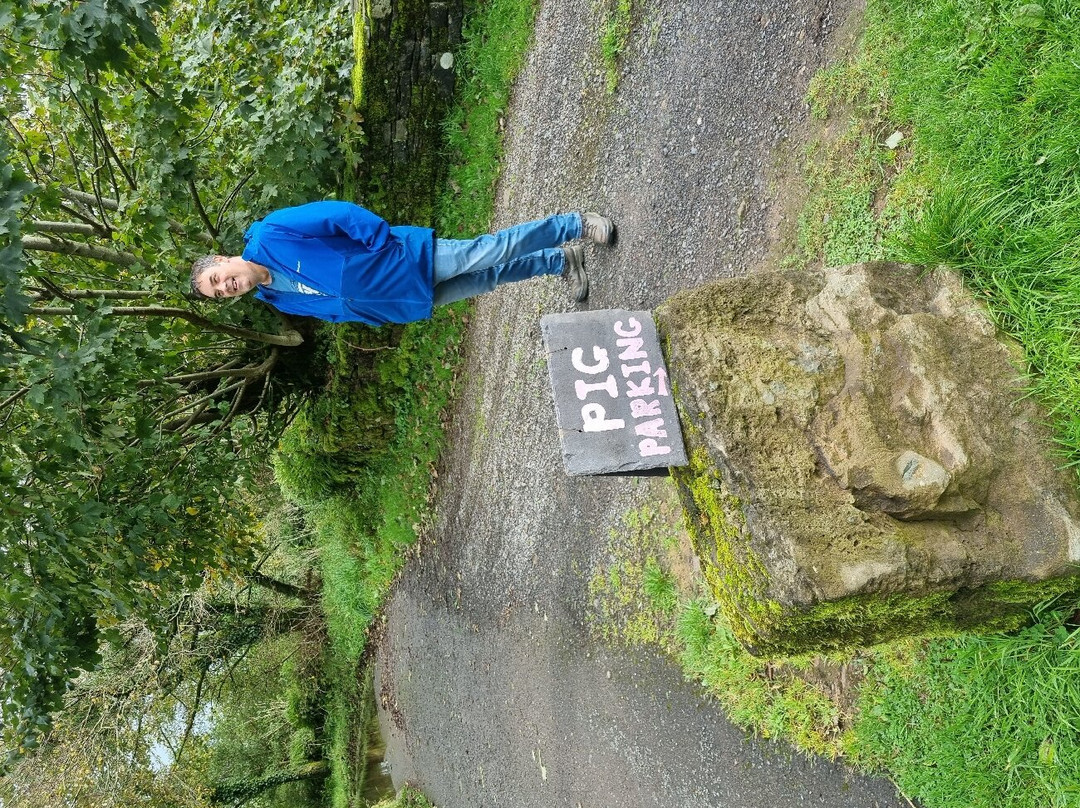 2023年12月Good Day Out景点攻略-Good Day Out门票预订|地址|图片-Good Day Out景点点评-猫途鹰